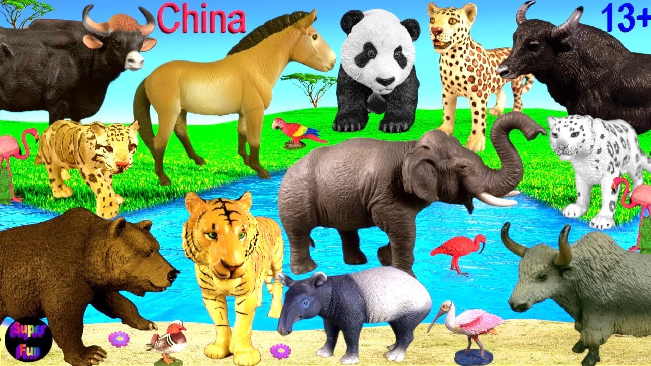 Zoo animals - tiger, leopard, elephant, gaur, clouded leopard, panda ...