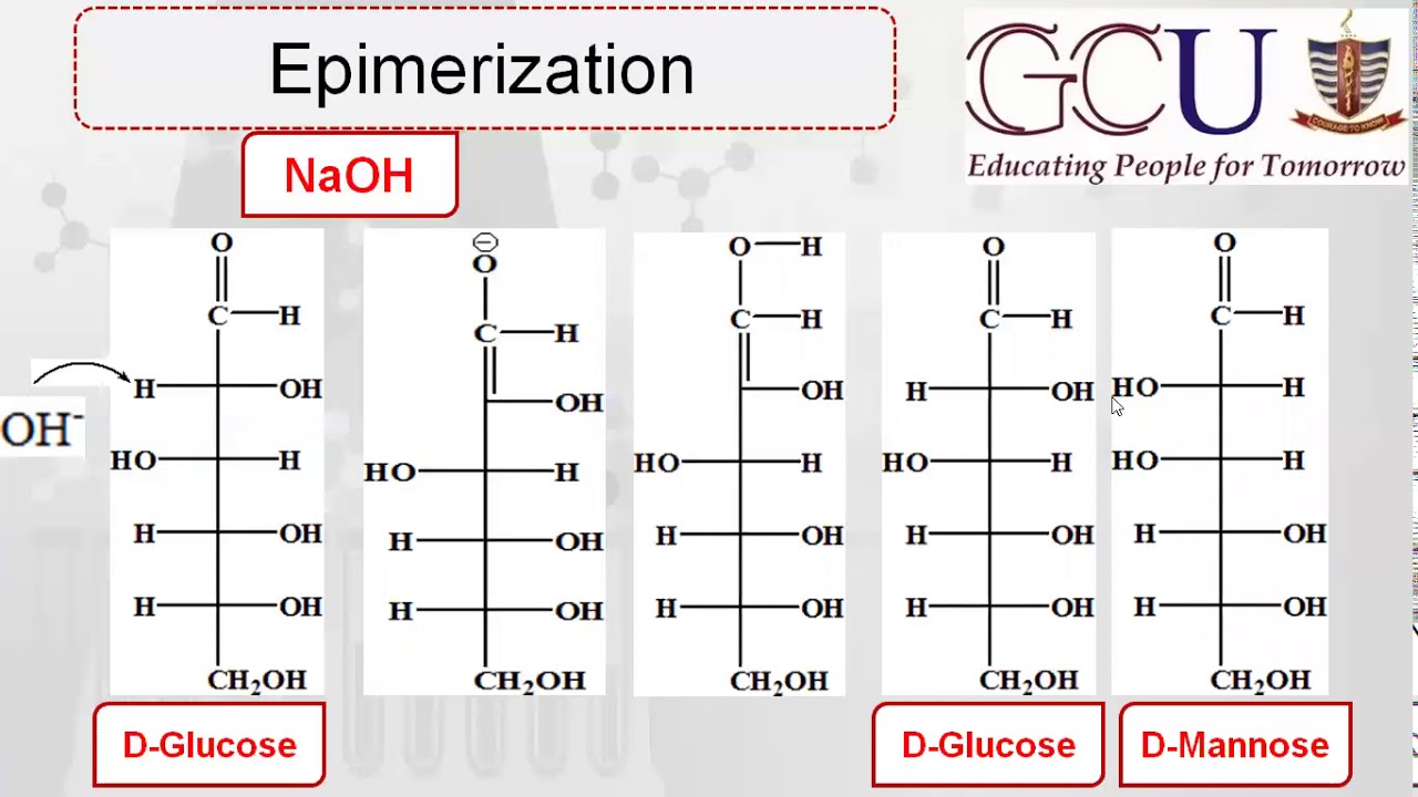 Biochem-13|Chemical reactions of Monosaccharides|Reduction|Oxidation ...