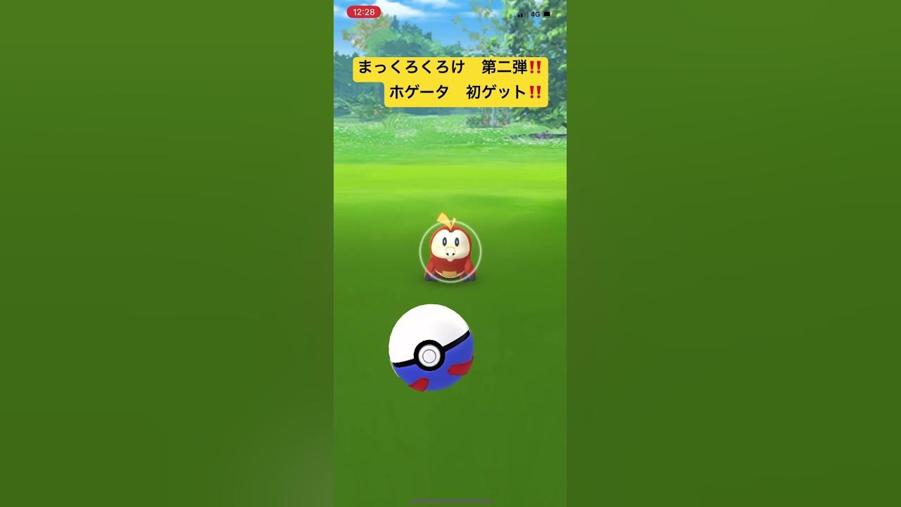 まっくろくろけ 第二弾 ホゲータ コラボ 初ゲット‼️ ポケモンgo 爆風スランプ Youtube