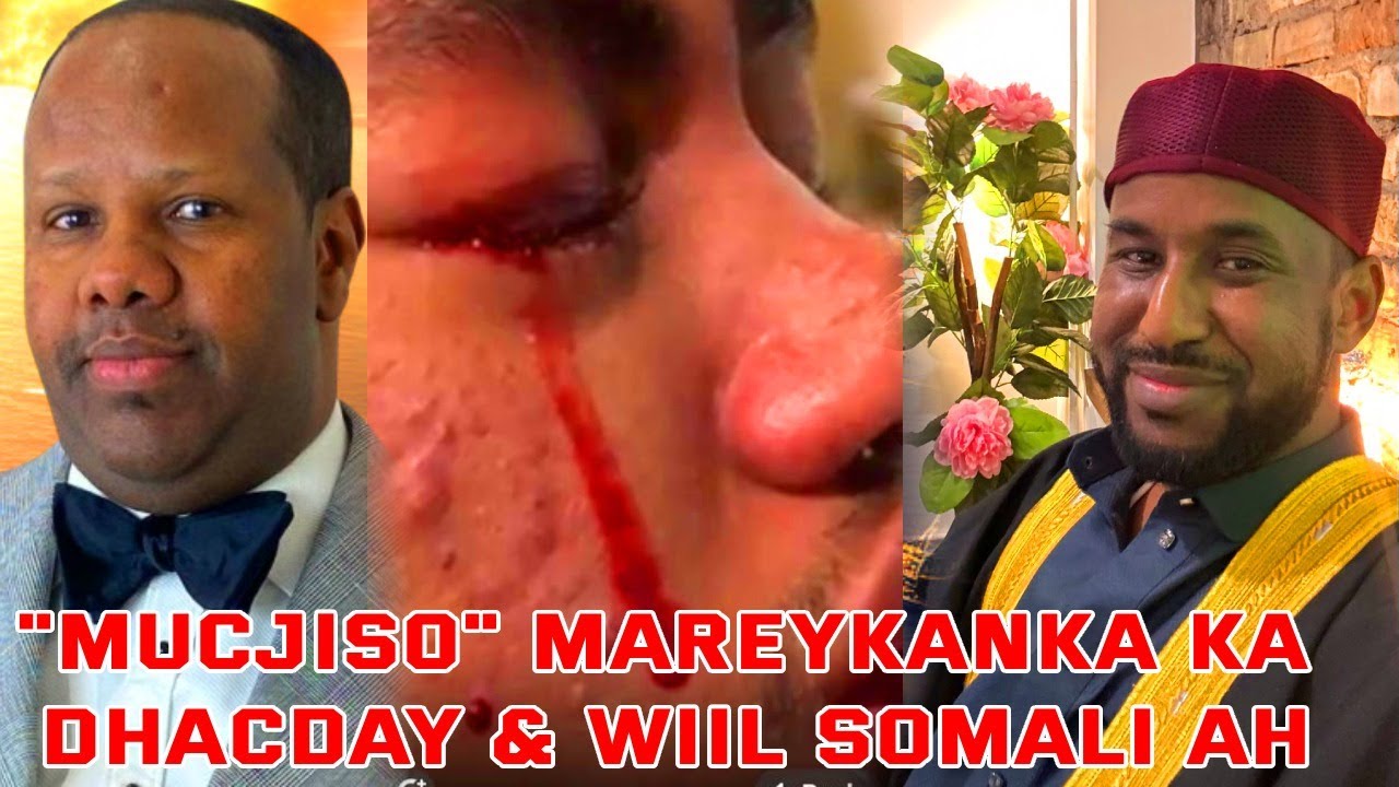 'MUCJISO' LAGU ARKAY WIIL YAR OO MARAYKANKA KU NOOL, WAREYSI HOOYADIIS ...