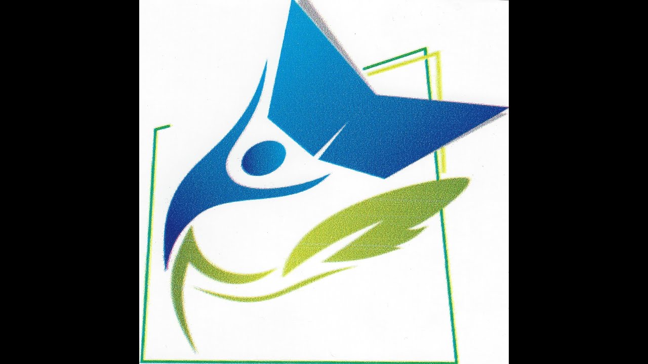 Manahej School-PS1-graphisme-la ligne verticale. - YouTube