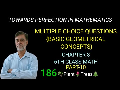 MULTIPLE CHOICE QUESTIONS , CHAPTER 6, BASIC GEOMETRICAL CONCEPTS,6TH ...