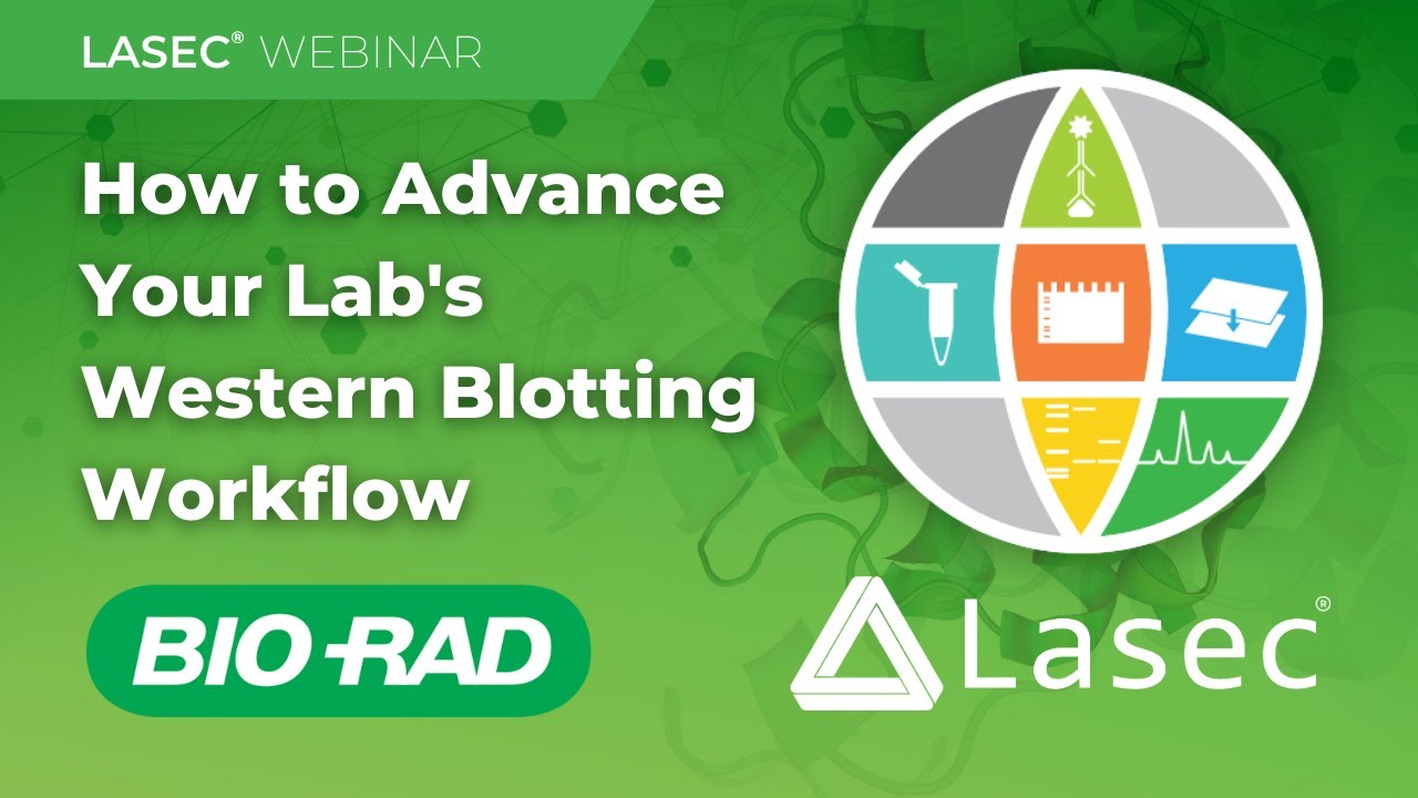 Webinar | How to Advance Your Lab's Western Blotting Workflow - YouTube