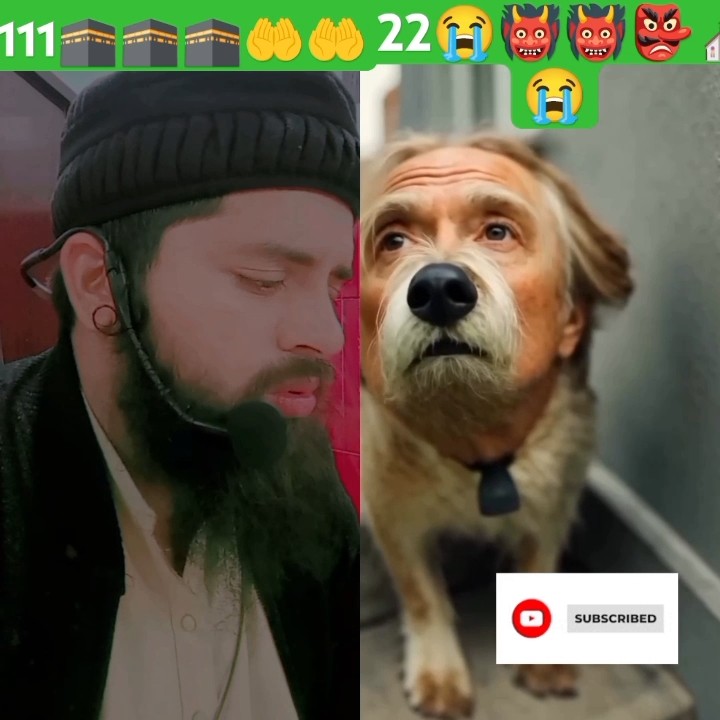 محمد رسول الله #قرانالكريم #duet #القرآن_الكريم #suraeyasin #duo ...