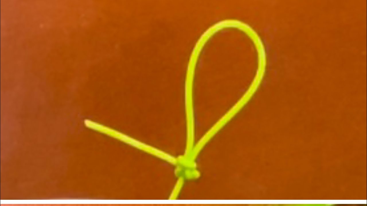 BONUS…Perfection Loop Made Simple; Bonus!!! HOW TO TIE A STREAMER into ...