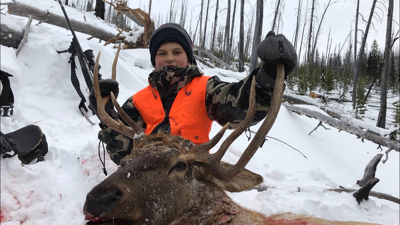 First bull down - YouTube