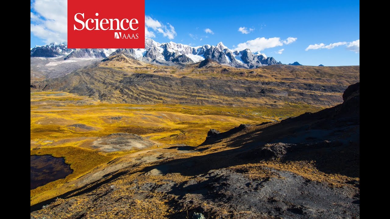 The long history of the Andes - YouTube