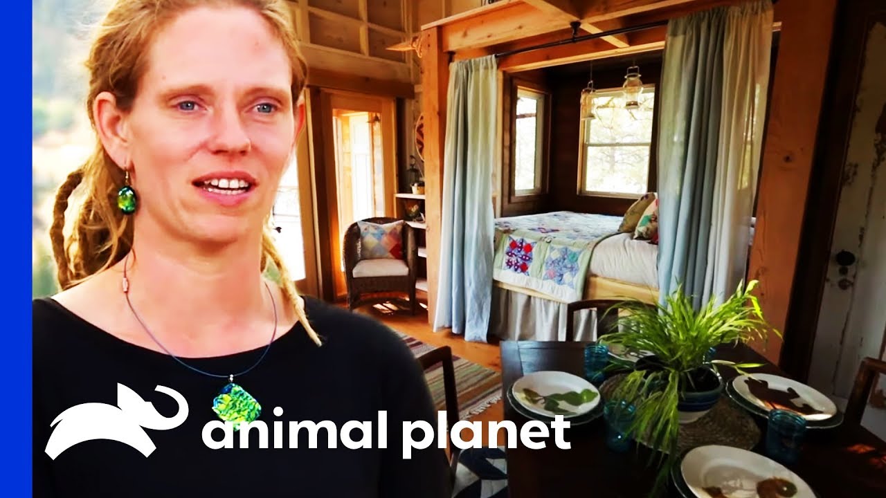 This Treehouse Is A PERFECT Off The Grid Getaway | Treehouse Masters ...