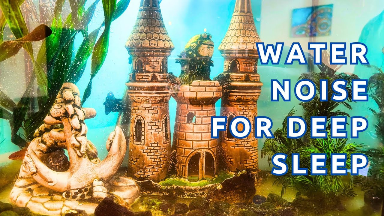 Relaxing Aquarium Fish Tank Sounds 🐟 | NO MUSIC | for deep sleep | REAL ...