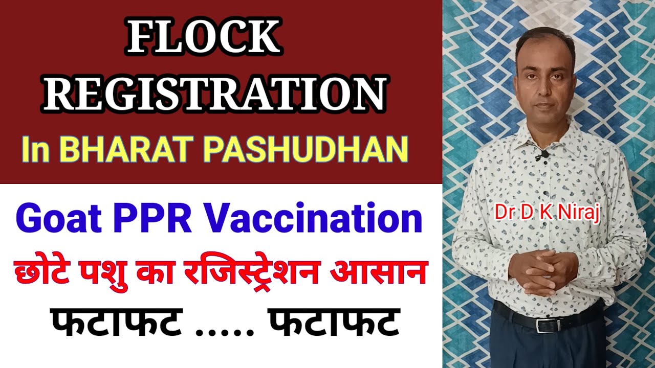 Flock Registration Bharat Pashudhan | Flock Vaccination PPR #Drdkniraj ...