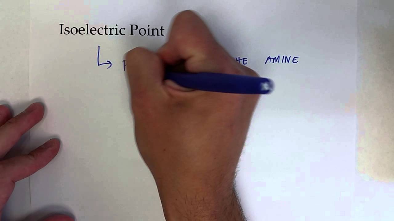 Proteins 11.2 Zwitterion & Isoelectric Point - YouTube