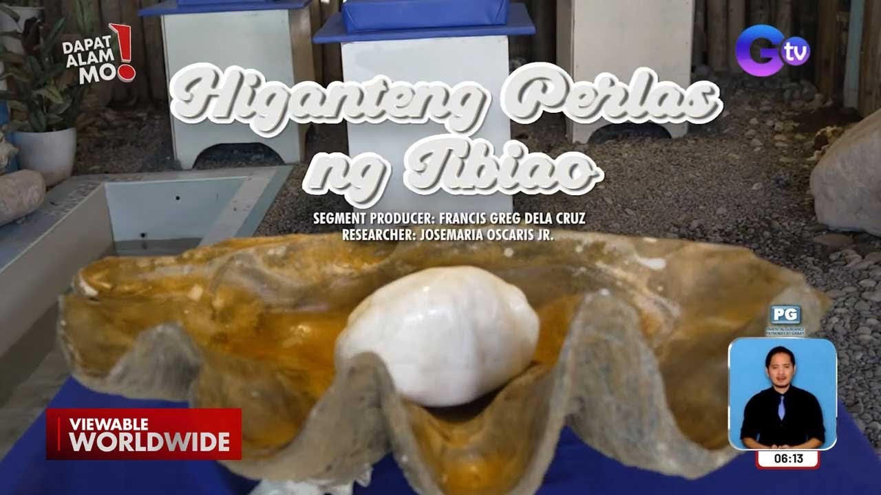 Mga perlas na aabot sa daang milyong piso, matatagpuan sa Antique ...