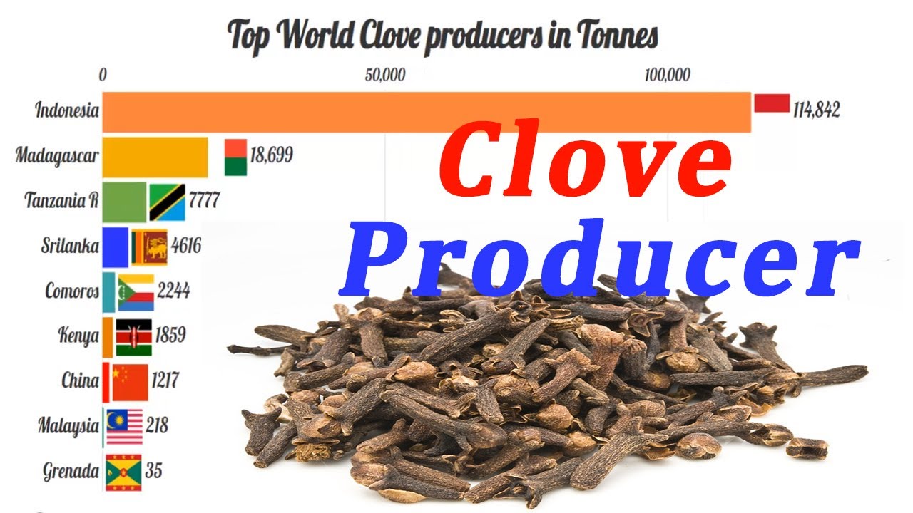 Top largest Cloves producing countries in the World - YouTube