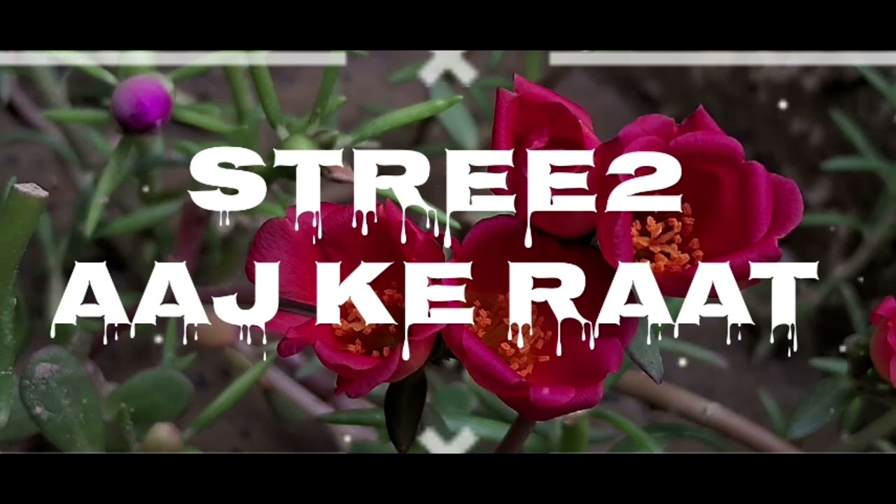 aaj ke raat/stree2 movie/song/lofi song/royal music/2 September 2024 ...