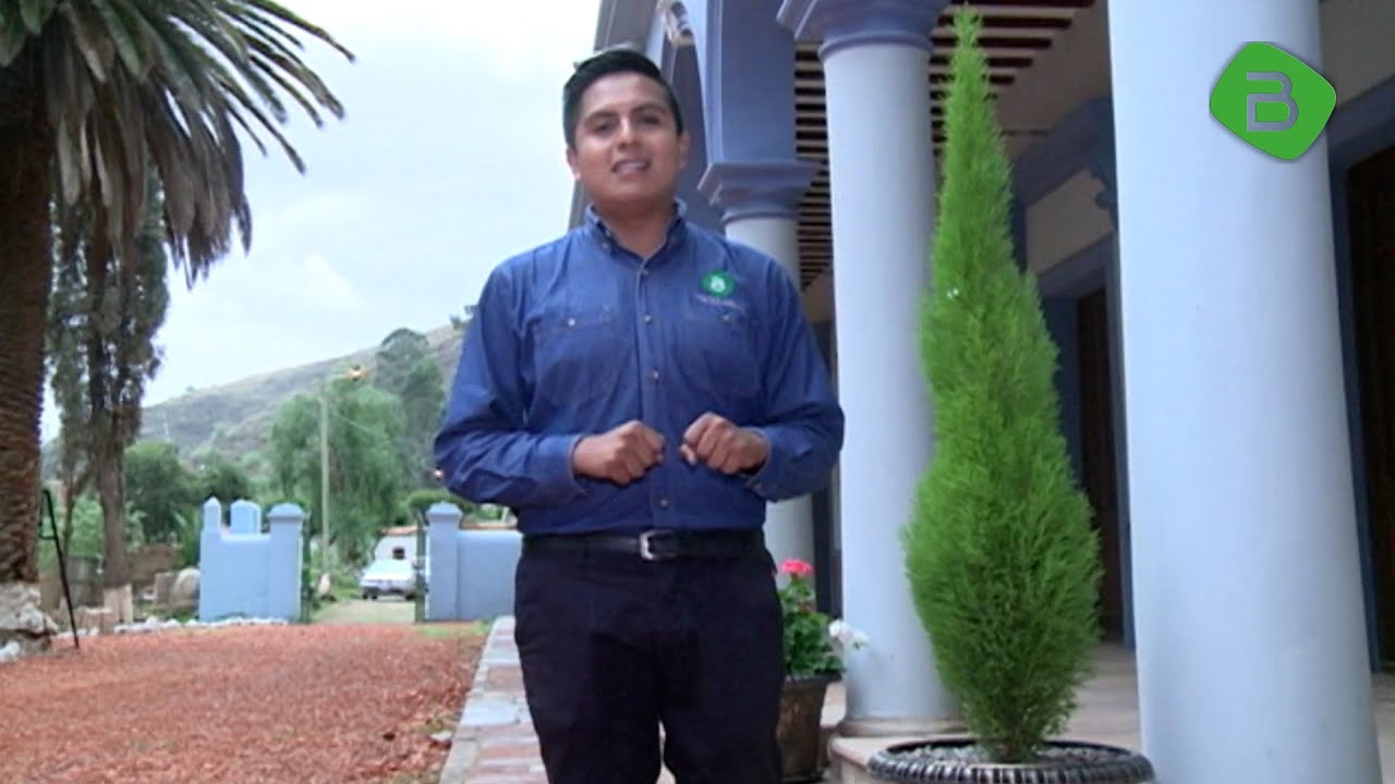 Ciudad Museo - Palacete de la Florida - YouTube