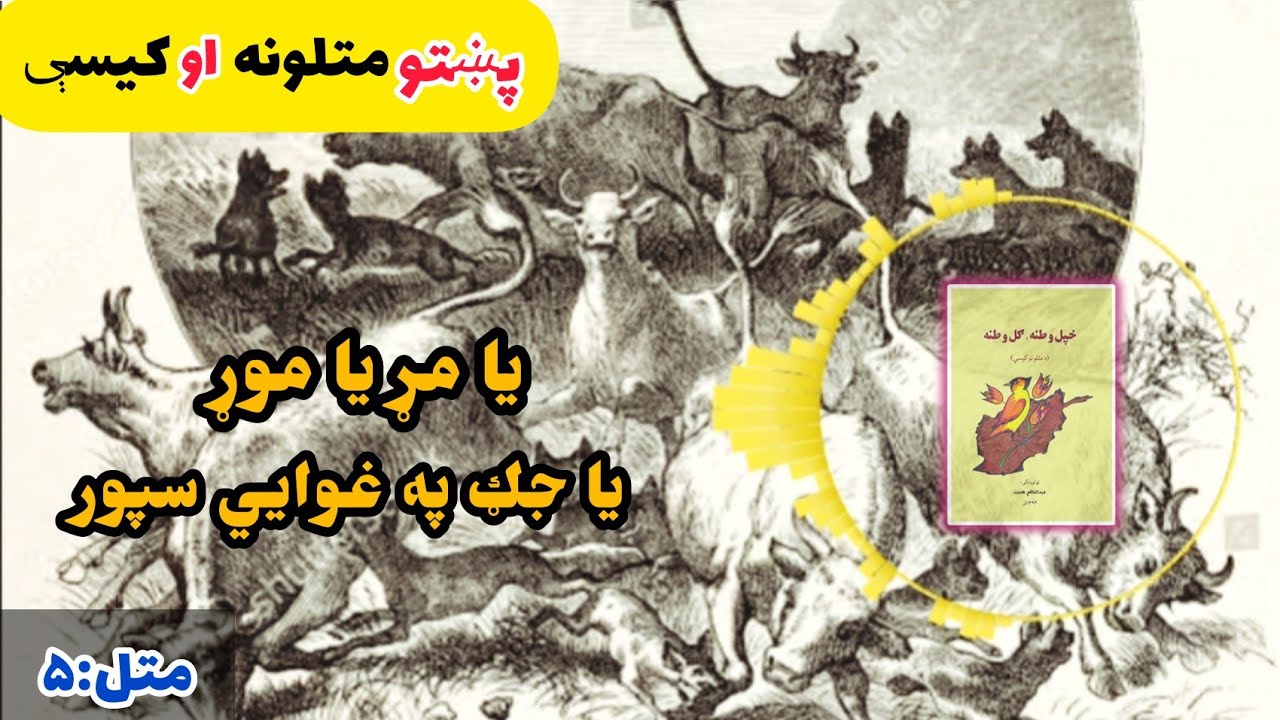 Pashto Proverbs and Stories | Episode 5 | پښتو متلونه او کیسې | - YouTube