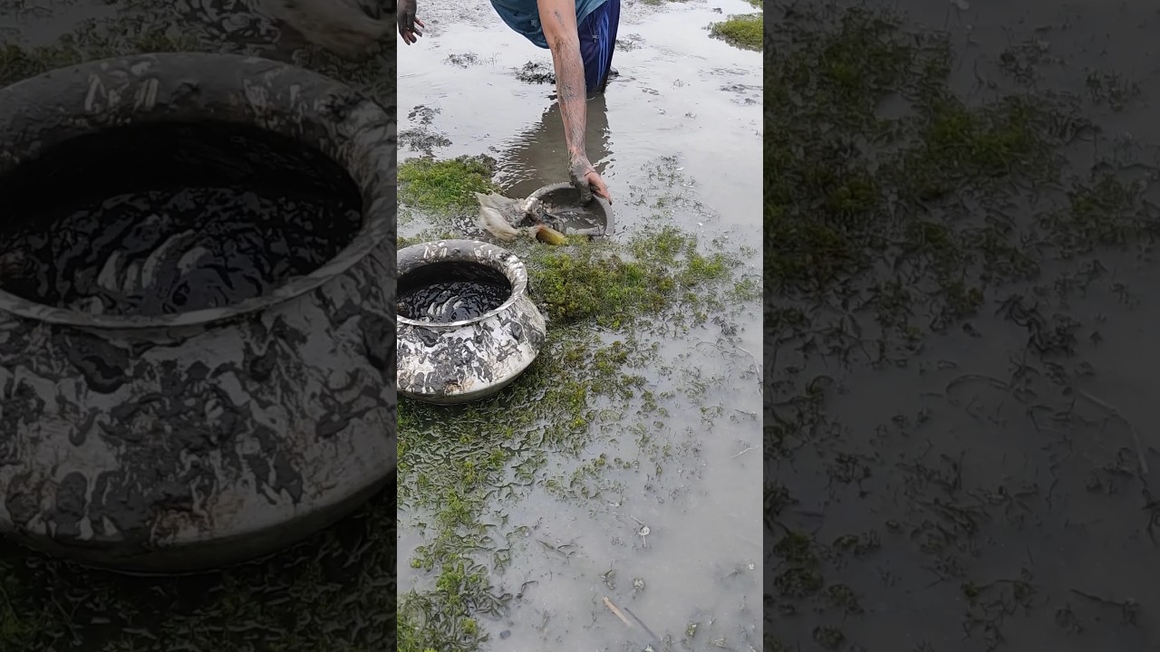 Geol Fish Captured 🤭 - YouTube