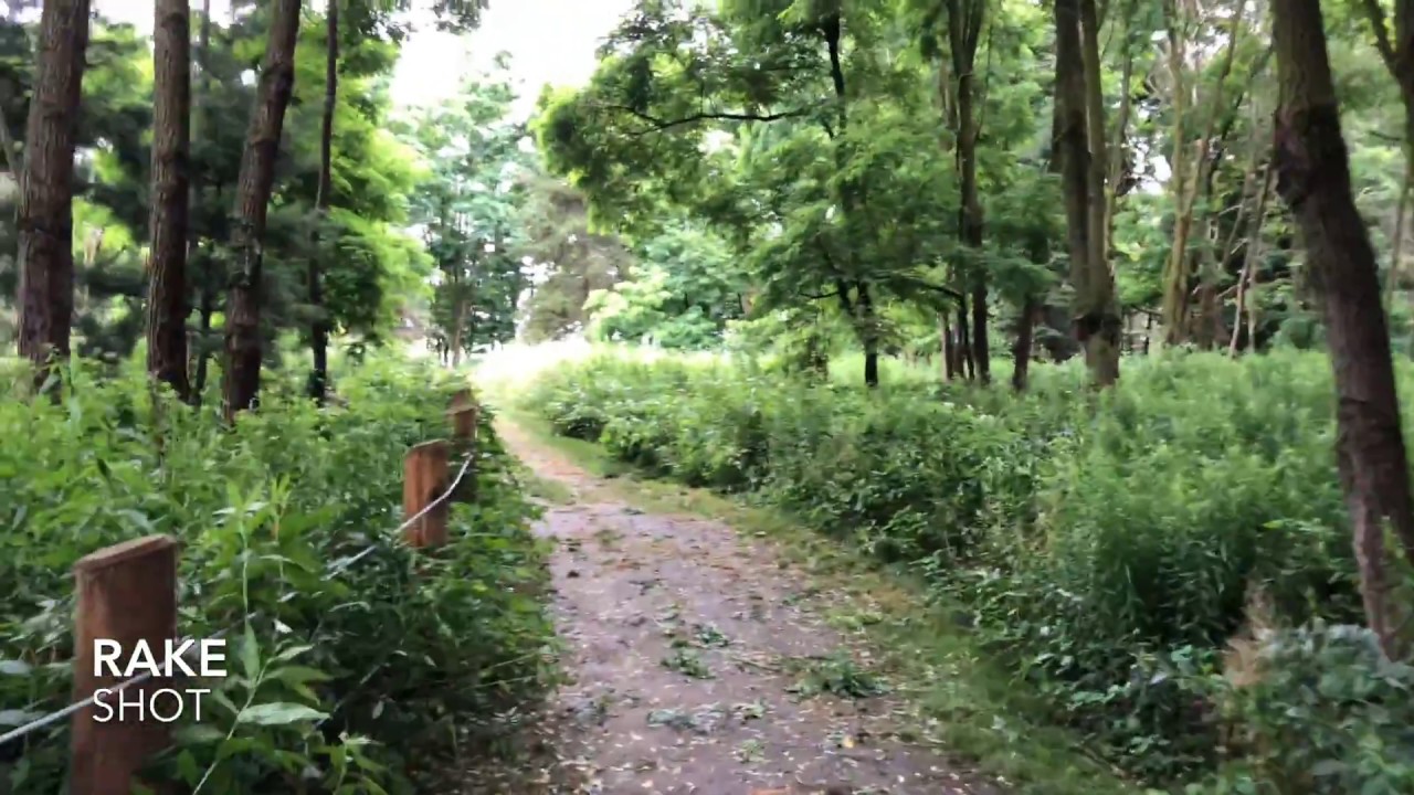 Cudia Park - YouTube