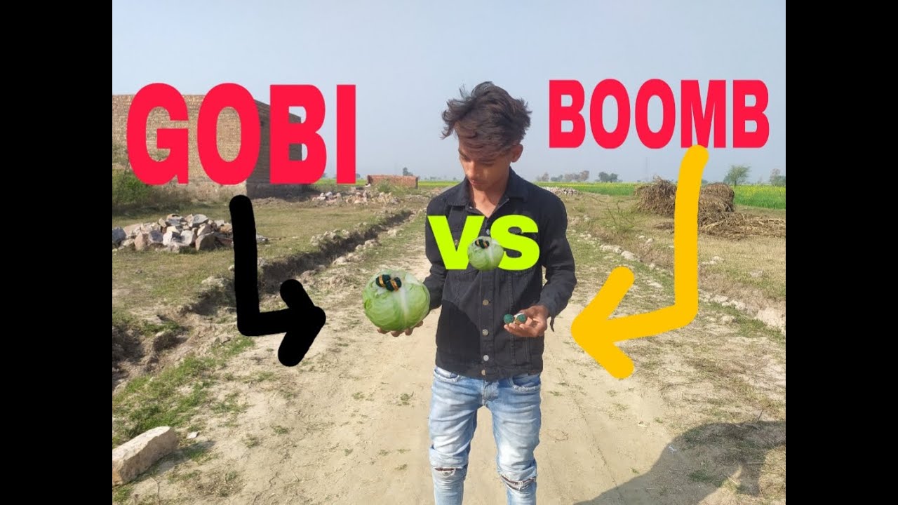 Gobi VS Boomb / big Gobi Exeperiment || New / Experiment with super big ...