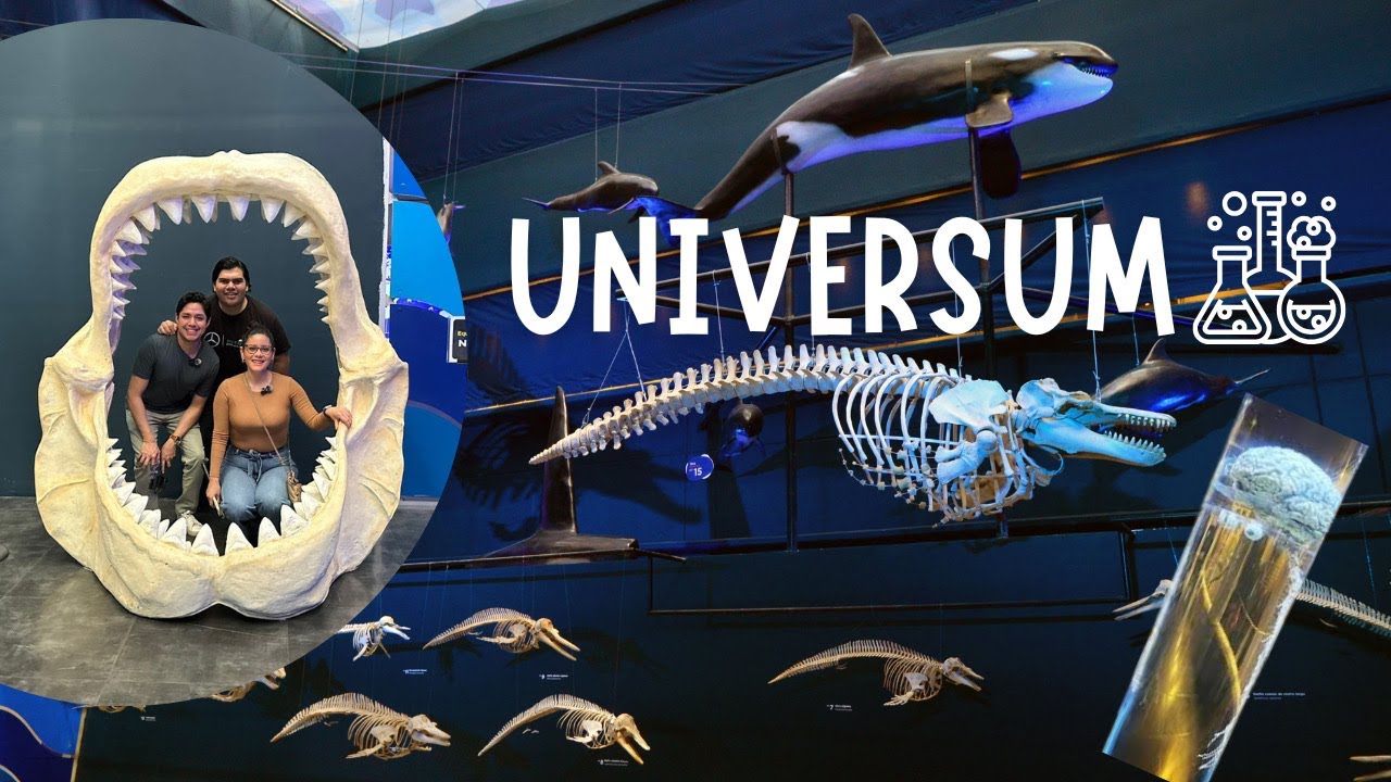 🔬🚀 Descubre el UNIVERSUM: El museo de ciencia más increíble de CDMX ...