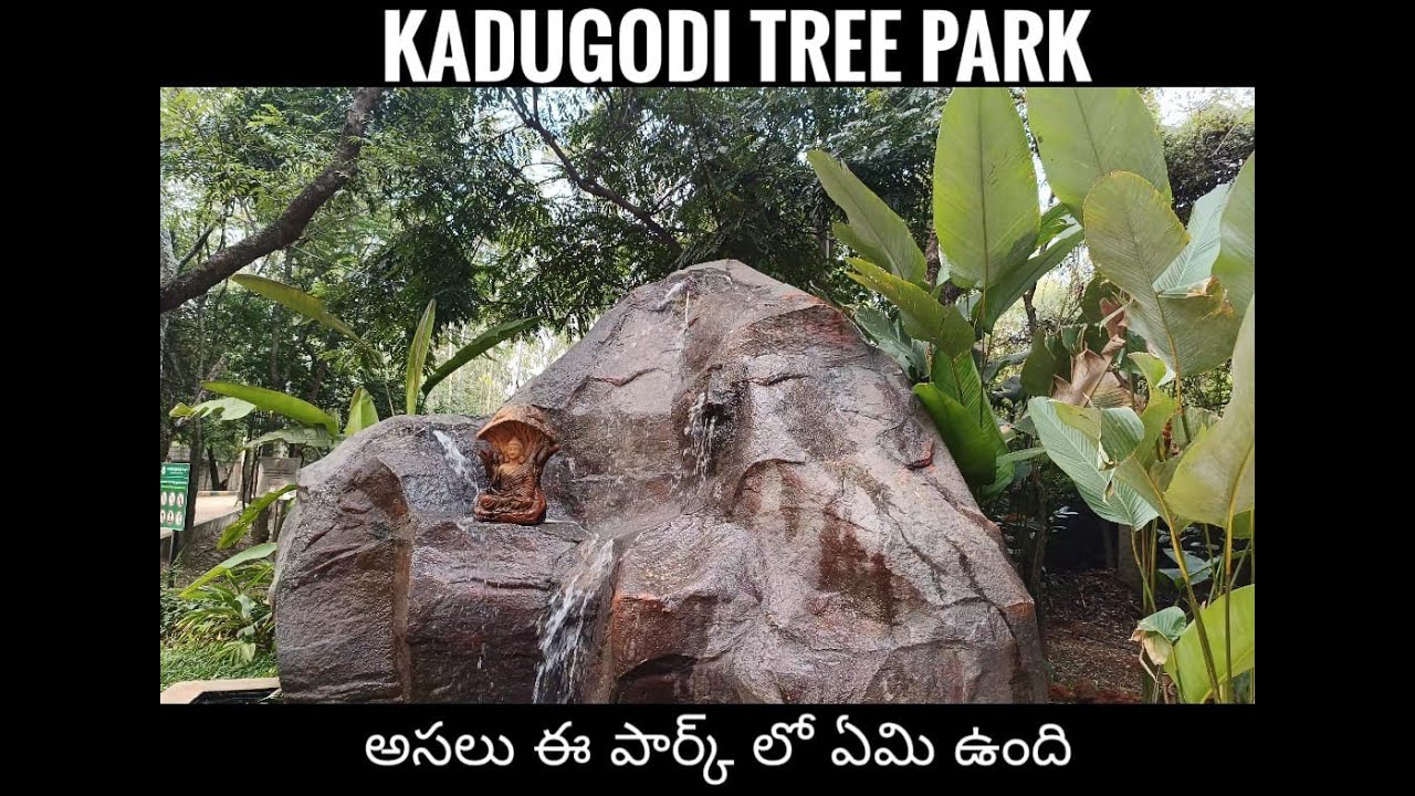 Kadugodi Tree park Bangalore.. - YouTube
