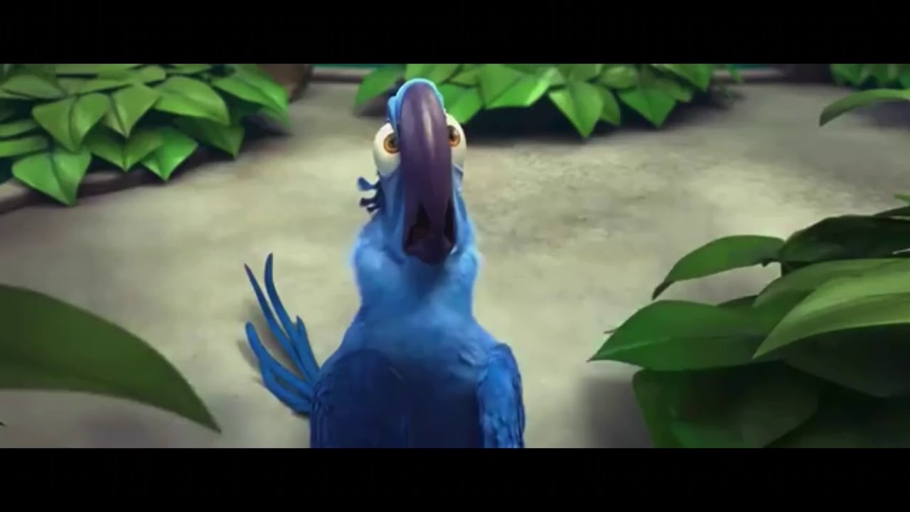 Rio Mood edit - YouTube