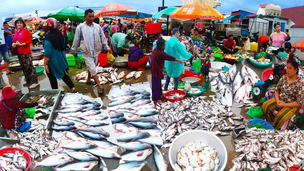Morning Fish Market Scene @Prek Phnov Daily Lifestyle & Activities of ...