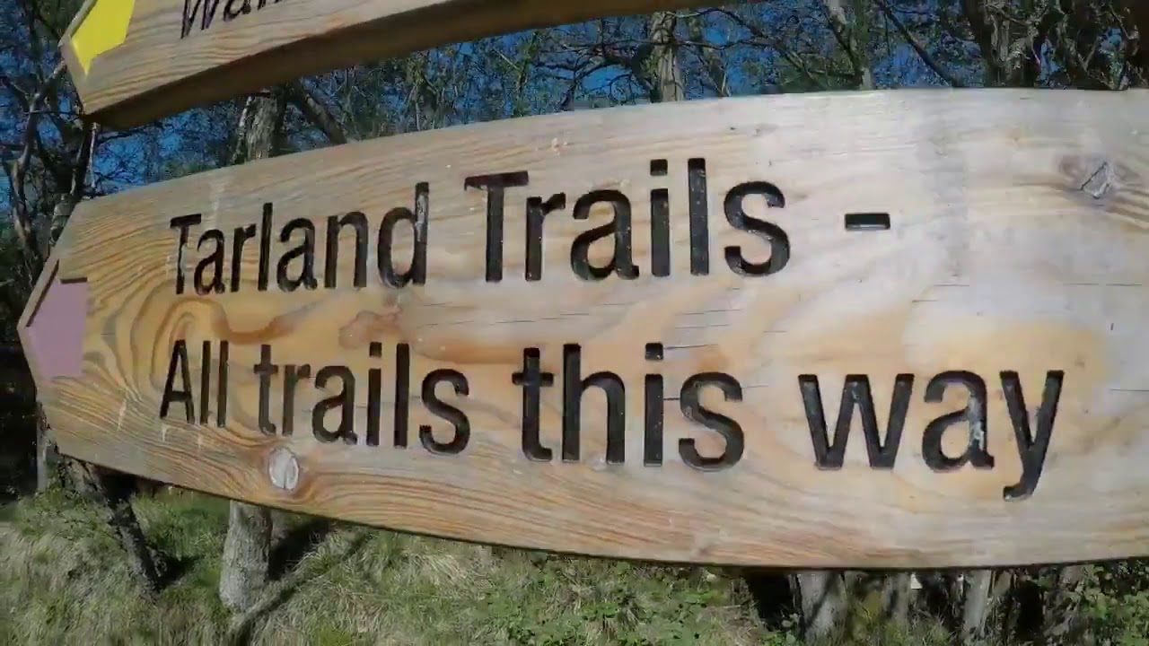 Mountain Biking Tarland Trails - YouTube