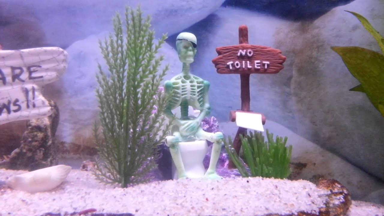 Penn Plax Farting Skeleton - YouTube