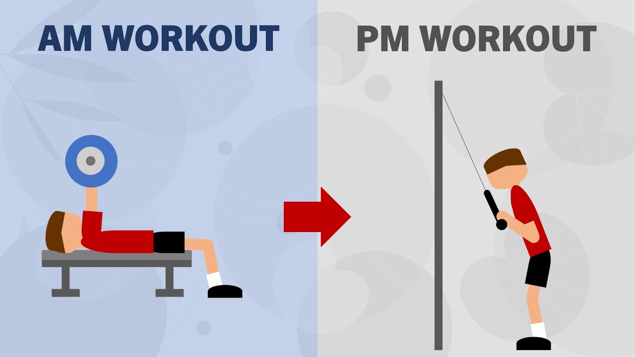 Is Training 2x / Day Effective for Muscle Growth? - YouTube