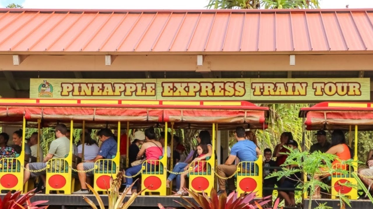 Pineapple Train Tour in Hawaii - YouTube