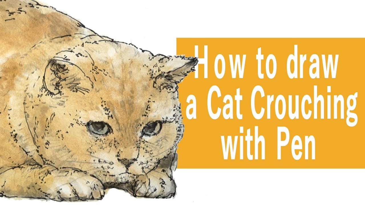 How to draw a Cat Crouching with pen and watercolor. - YouTube