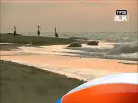 Timsah Adası (belgesel)