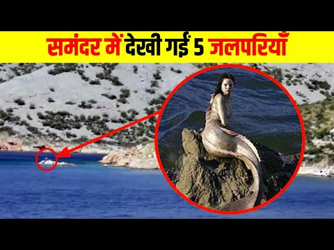 Top 5 Real Life Mermaids Caught On Camera