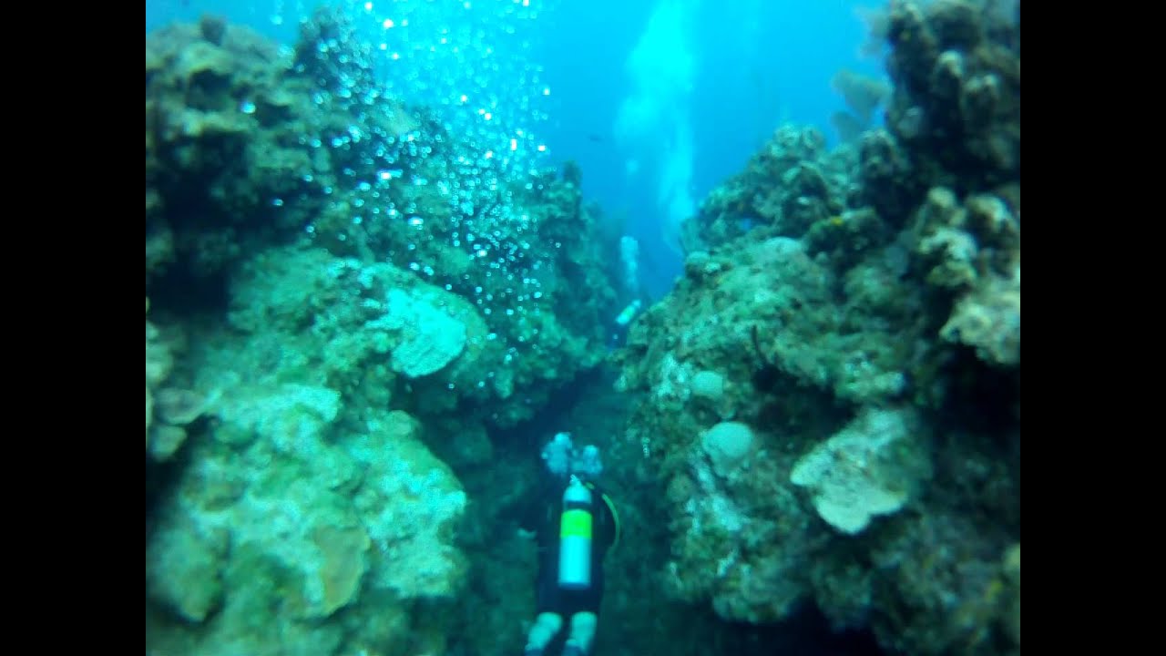 Diving with Mayan Divers over in Canyon Reef - YouTube