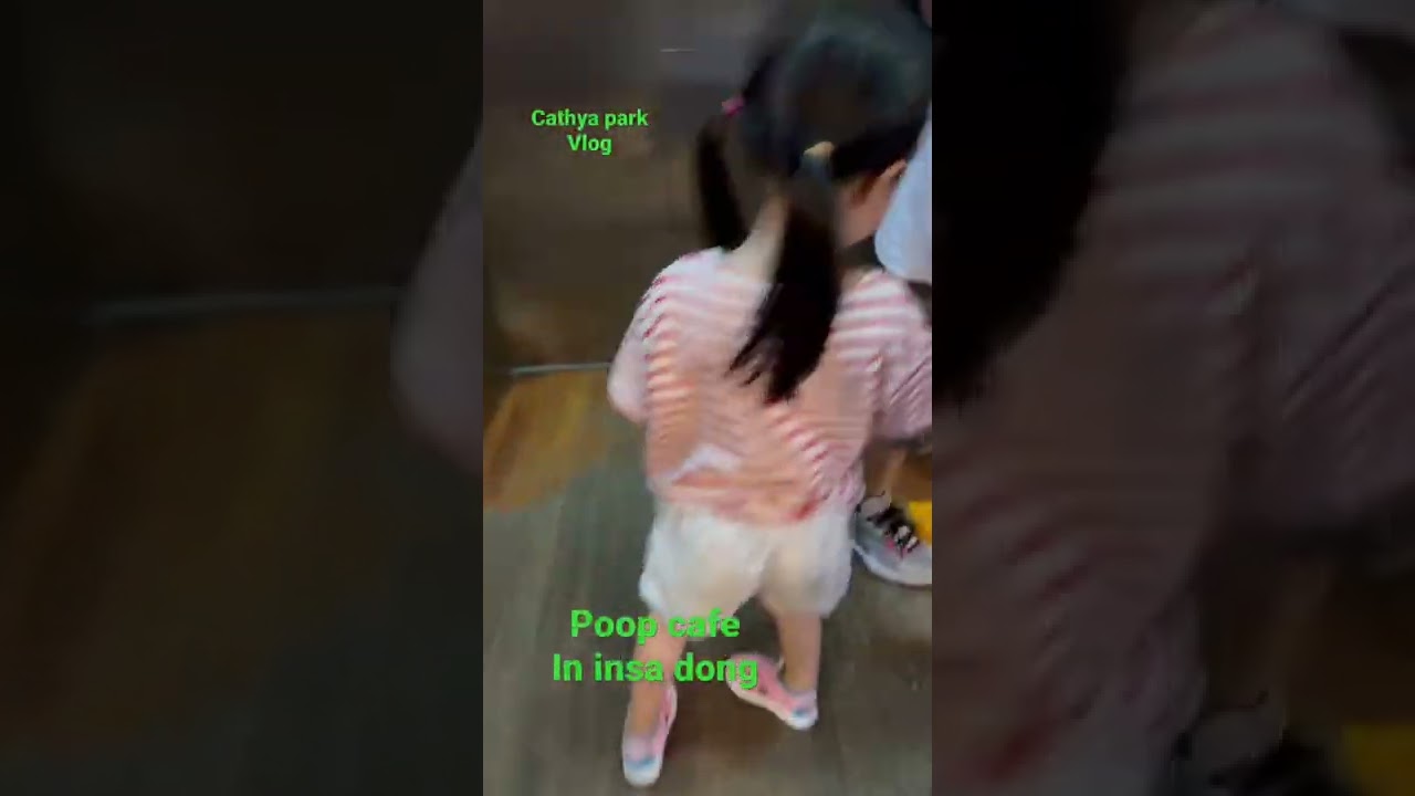 Poop cafe in insa dong#cathya park vlog - YouTube