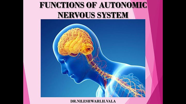 What Functions Are Controlled By The Autonomic Nervous System what-functions-are-controlled-by-the-autonomic-nervous-system