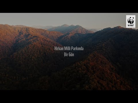 Hirkan Milli Parkında Bir Gün / 4K
