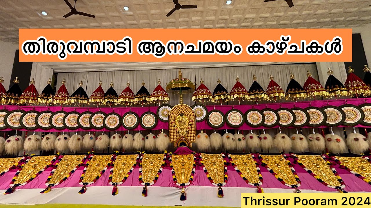 ആന ചമയം കാഴ്ചകൾ തിരുവമ്പാടി വിഭാഗം | Thiruvambady Chamayam | Thrissur ...