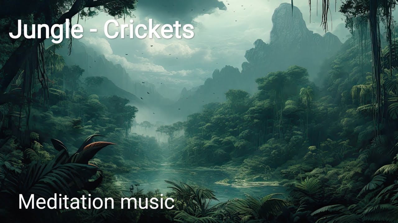 Jungle Sounds & Crickets / Music for Relaxation and Meditation - YouTube