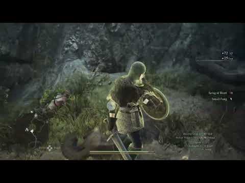 Brothers Brave and Timid (Read Description) | Dragon's Dogma 2