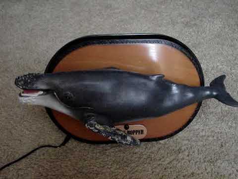 Bubble Bopper (whale version) - YouTube