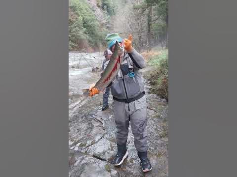 Yahoo fish on the rock - YouTube