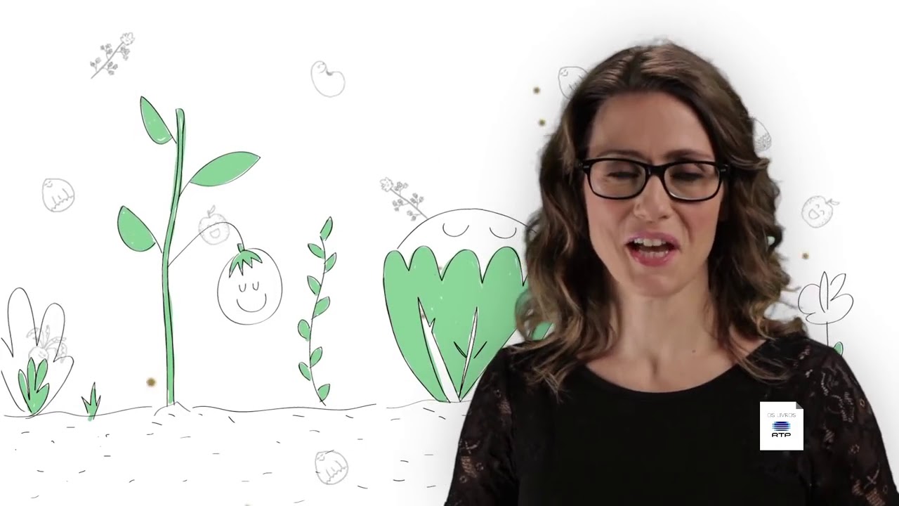 «Dieta das Princesas» de Catarina Beato - YouTube