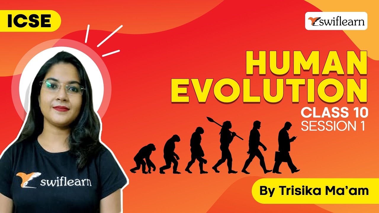 Human Evolution | Theory & Stages of Human Evolution | ICSE Class 10 ...