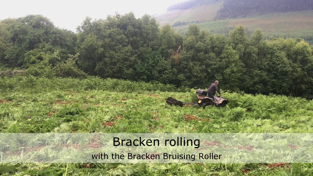 Bracken Rolling with the Bracken Bruising Roller - YouTube