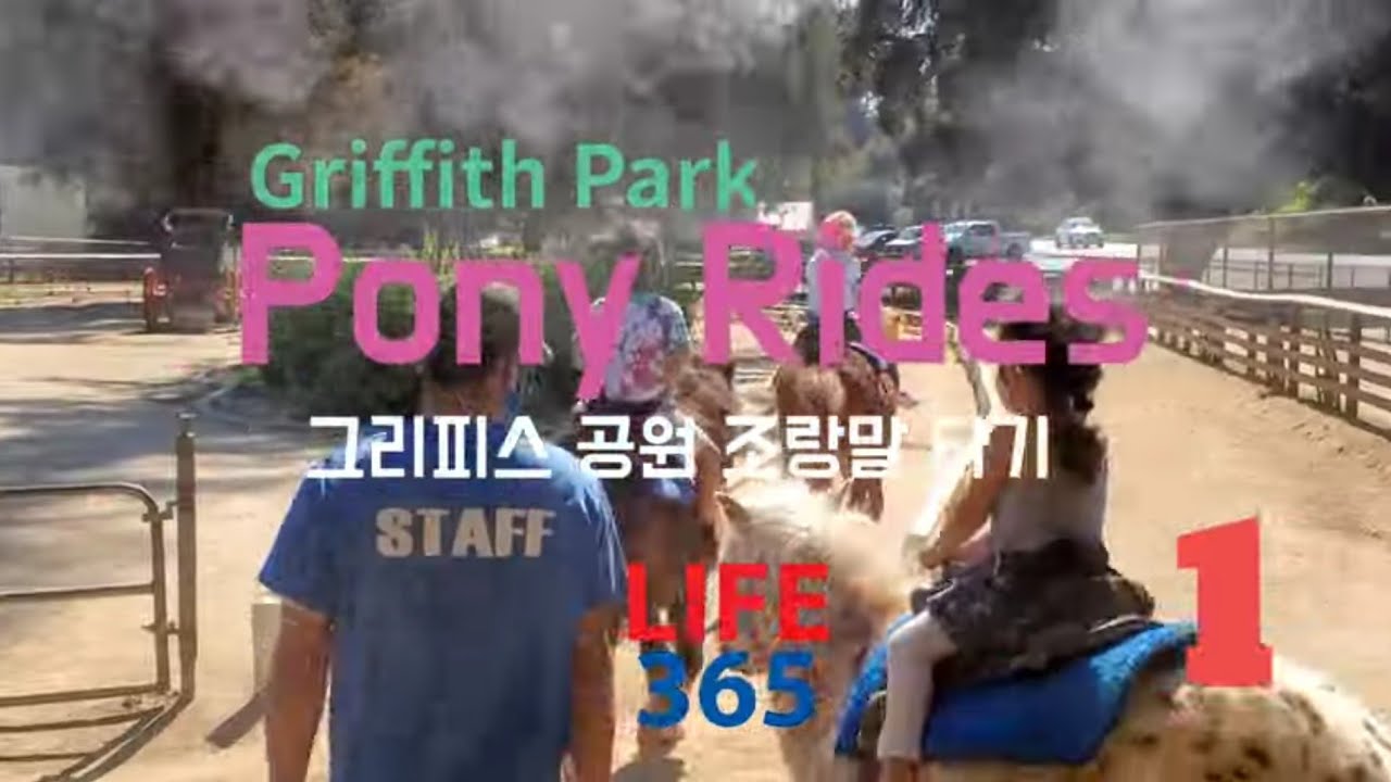 Los Angeles Pony Rides 1 - YouTube