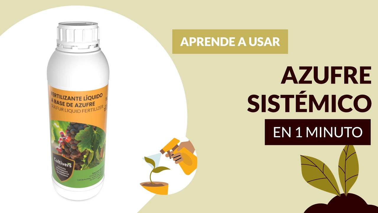 🟢 APRENDE a USAR nuestros AZUFRE SISTÉMICO en 1 Minuto 🚀 (Cultivers Eco ...