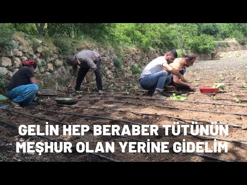 HARİKA YERLER KEŞFETTİM. GÖZLERİNİZE İNANAMAYACAKSINIZ! *17