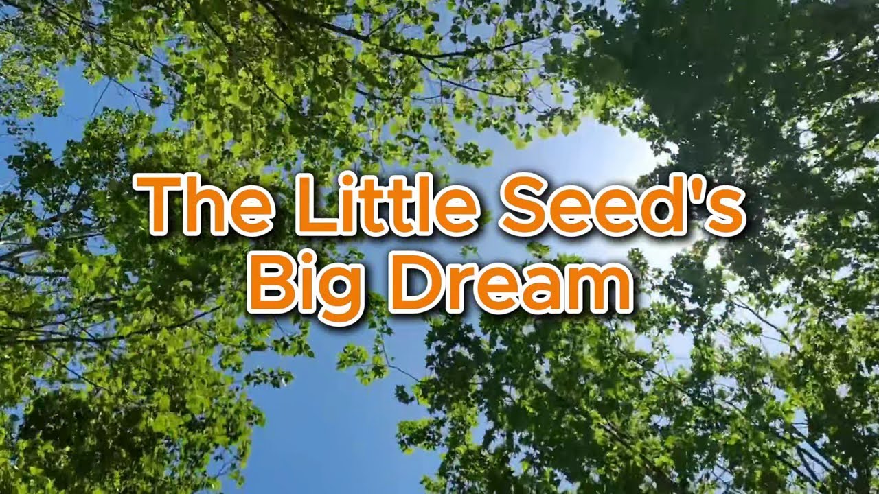 Little Seeds Big Dream - YouTube